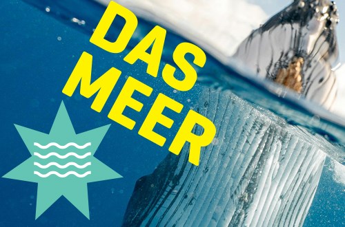 Sprachschule, Kurse und Weiterbildung in Basel | VHSBB